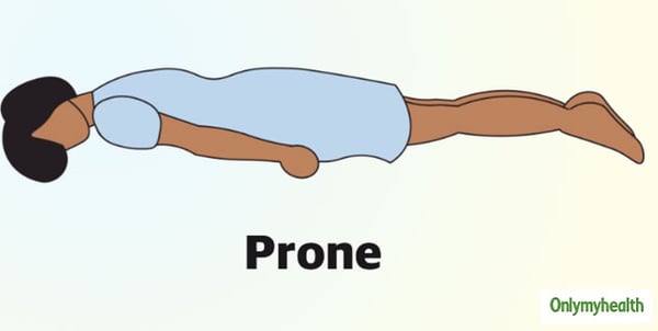 Prone Face Cam - v0.2 - Free AI LORA Download | TensorHub Art ...