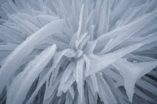 Rime Ice | image created by fjsma_t | Tensor.Art