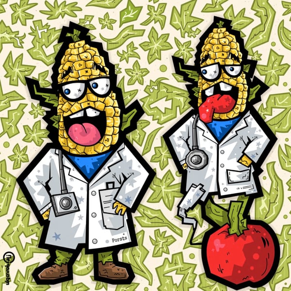 Vector Clip Art of Corn Doctor | image created by user ...
